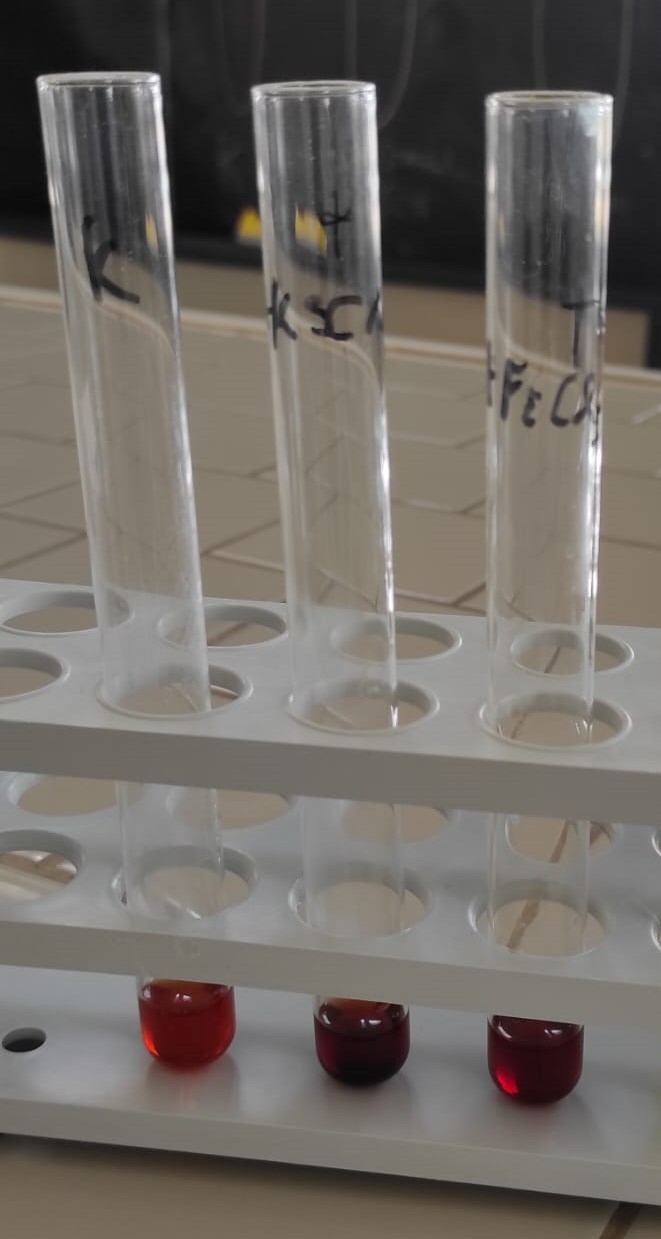 EQUILIBRIO CHIMICO | LABORATORIO SCOLASTICO