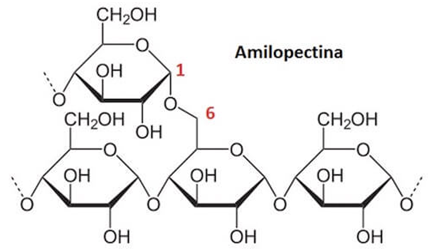 LABORATORIO SCOLASTICO BIOPLASTICA